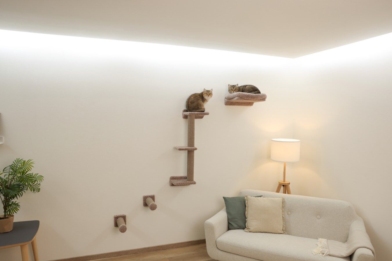 Monte Alpi Climbing Wall | LOWEST PRICES GUARANTEED | FREE DELIVERY